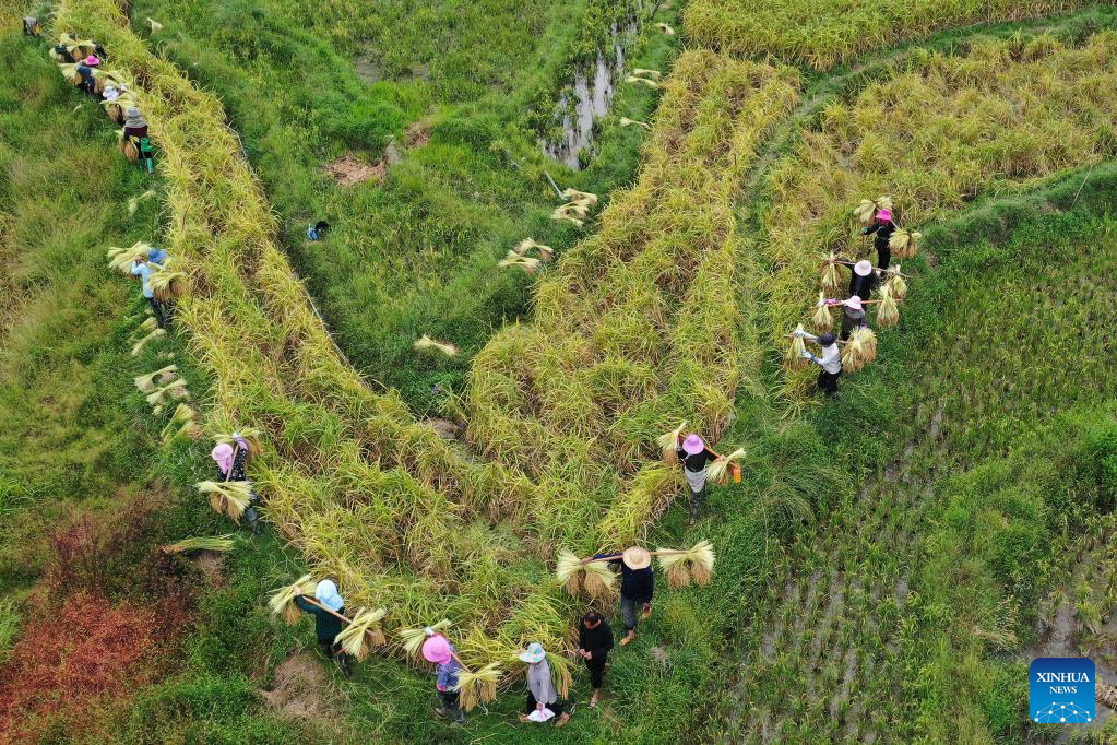Beste Ernte Herkunft China