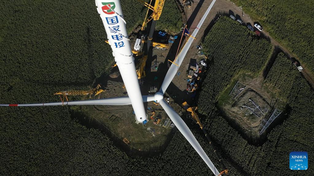 Großes Windkraftprojekt nimmt in Nordostchina Betrieb auf_China.org.cn