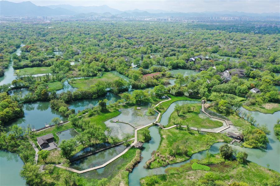 Scenery Of Xixi National Wetland Park In Hangzhou China cn