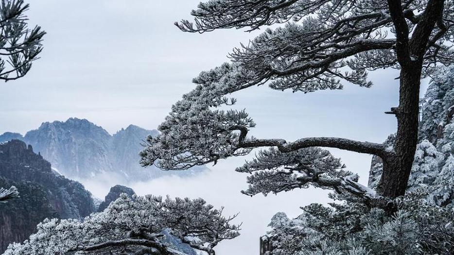 Rime scenery on Huangshan Mountain, E China- China.org.cn