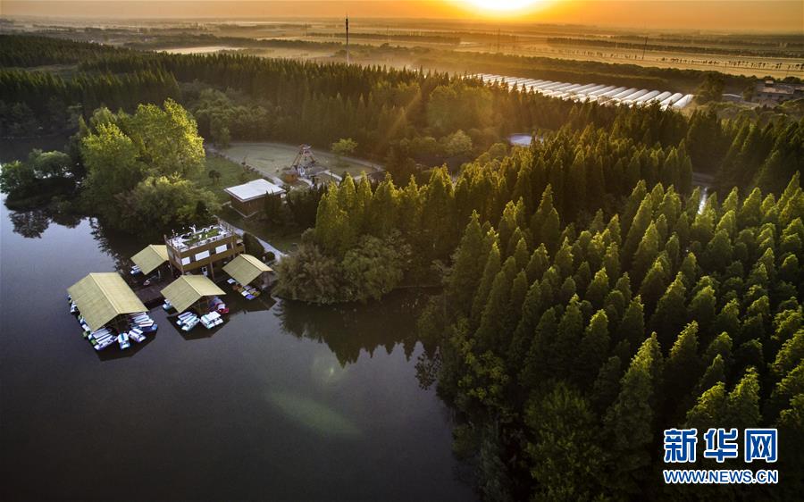 Shanghai : survolez le parc forestier national de Dongping