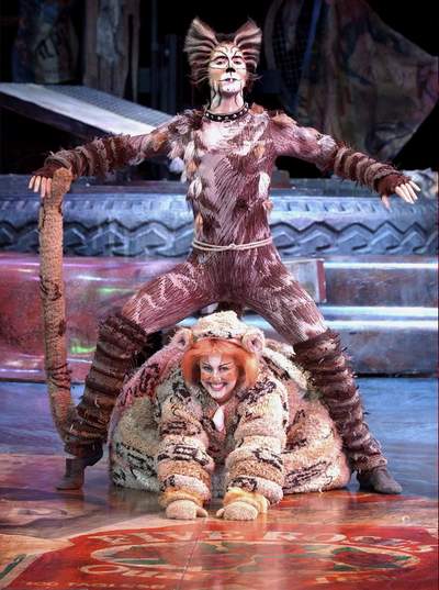 Kultur - german.china.org.cn - Cats in Beijing