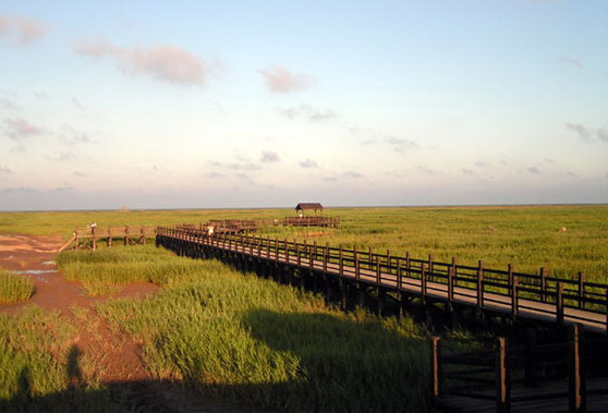 Reise - german.china.org.cn - Chongming – Mensch und Natur in Harmonie