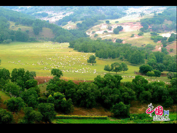 Atemberaubende Landschaft von Bashang - China.org.cn