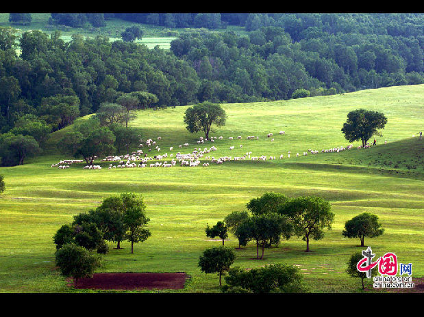 Atemberaubende Landschaft von Bashang - China.org.cn