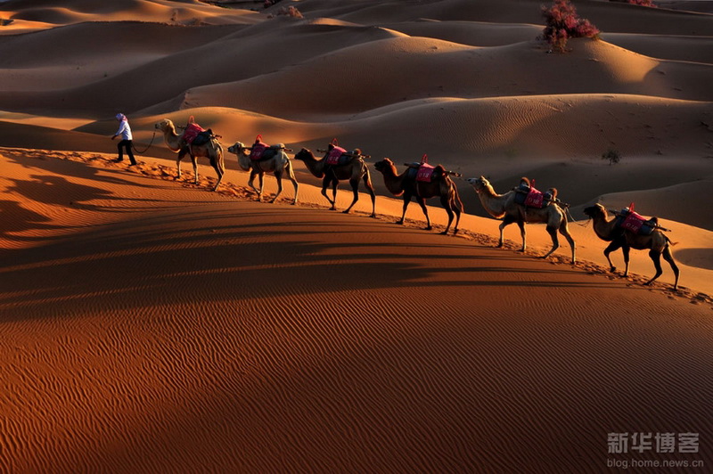 Bilder - german.china.org.cn - Atemberaubende Fotos über Tengger-Wüste