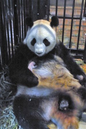 Natur und Umwelt - german.china.org.cn - Mangel an Erfahrung ...