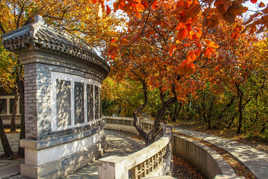 Kultur - german.china.org.cn - Der Bai Wang Shan Waldpark