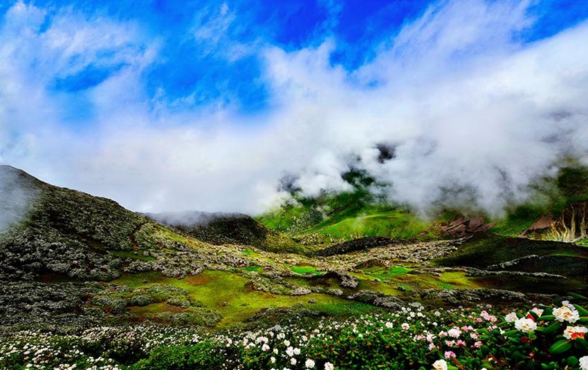 Baoxing: Heimat der Pandabären_China.org.cn