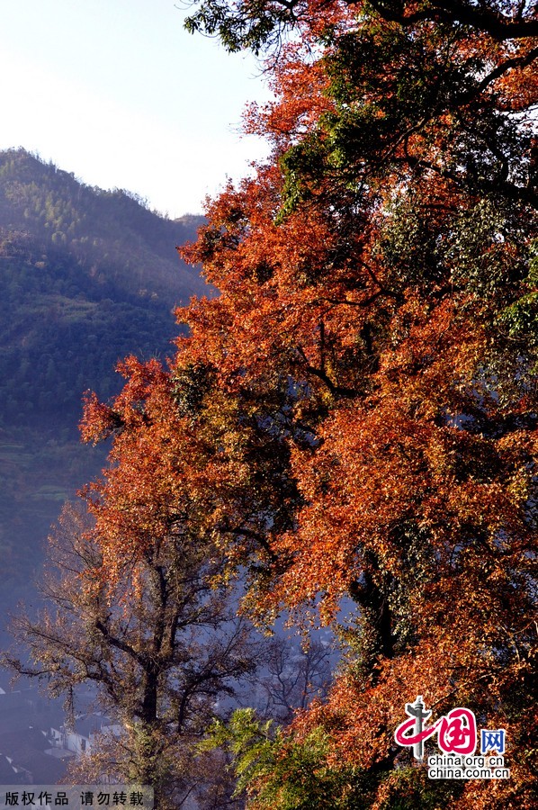Paisaje poético de la aldea Changxi de Wuyuan_Spanish.china.org.cn
