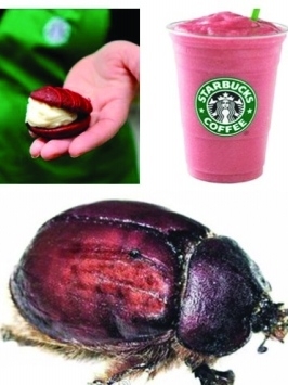 Protesta obliga a Starbucks a dejar de usar el extracto de cochinilla ...