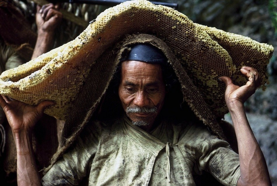 La vida de los recolectores de miel de Himalaya_Spanish.china.org.cn_中国 ...