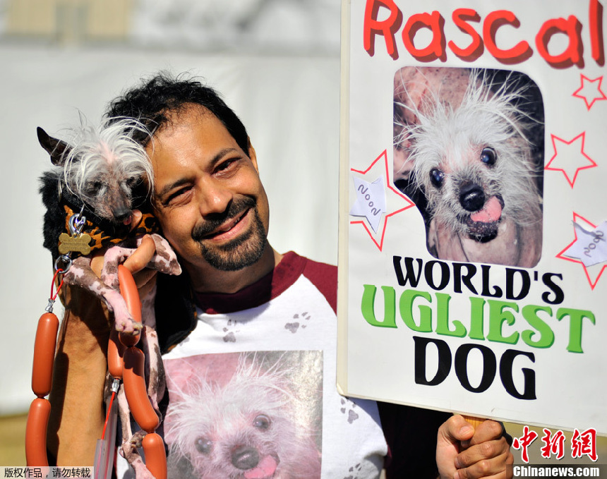 Concurso de los perros más feos en Petaluma, California_Spanish.china ...