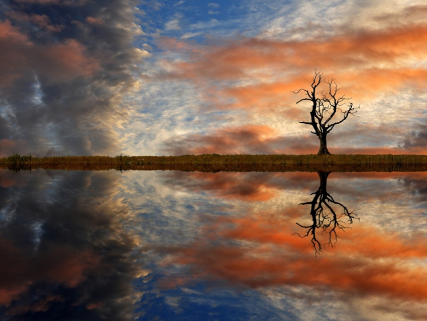 La belleza de un mundo espejado_Spanish.china.org.cn_中国最权威的西班牙语新闻网站