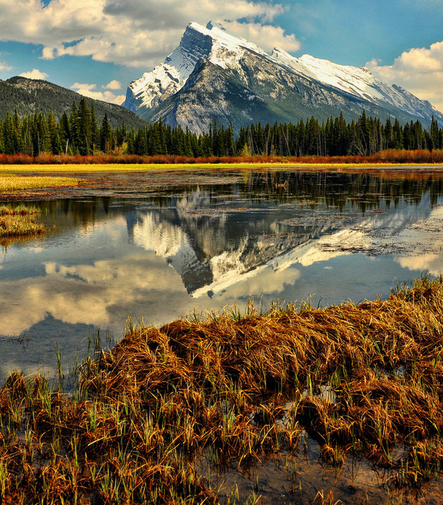Alucinantes imágenes invertidas de la naturaleza_Spanish.china.org.cn ...