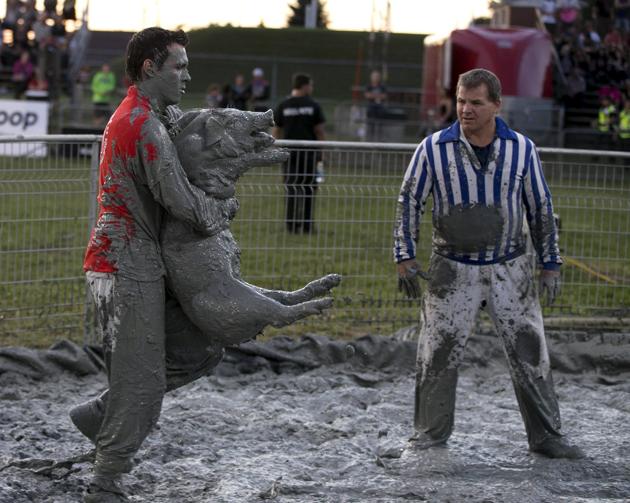 Lucha con cerdos en el Festival du Cochon_Spanish.china.org.cn_中国最权威的 ...