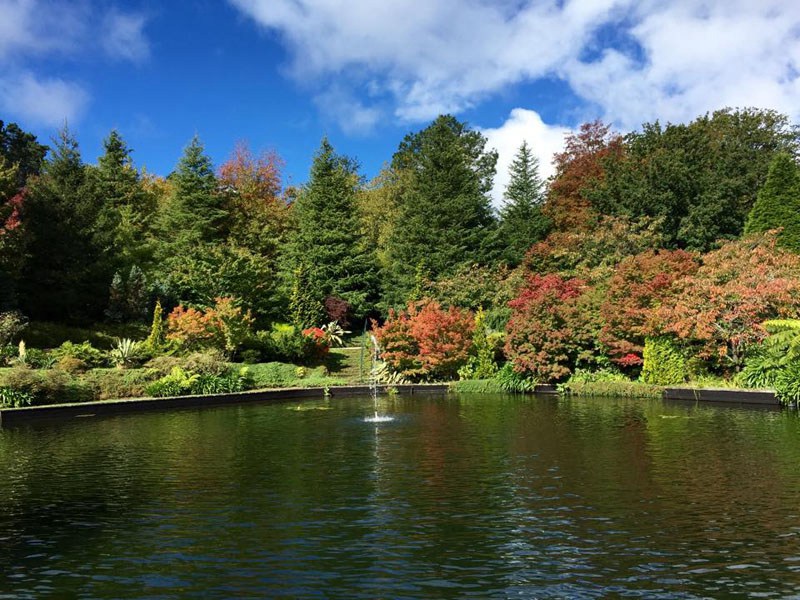 El monte Wilson con los colores del otoño_Spanish.china.org.cn_中国最权威的 ...