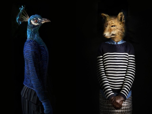 La moda de los animales_Spanish.china.org.cn_中国最权威的西班牙语新闻网站