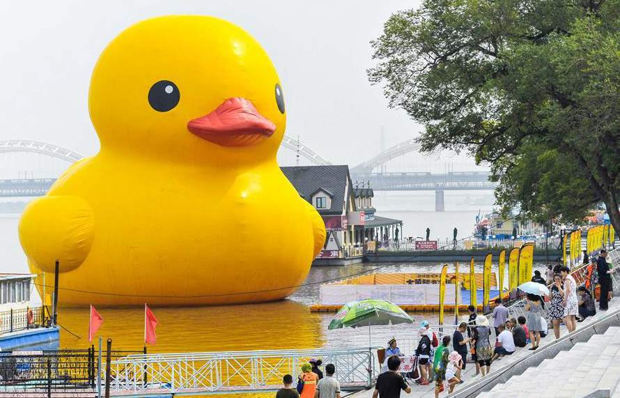 Pato amarillo de hule gigante exhibido en Heilongjiang_Spanish.china ...