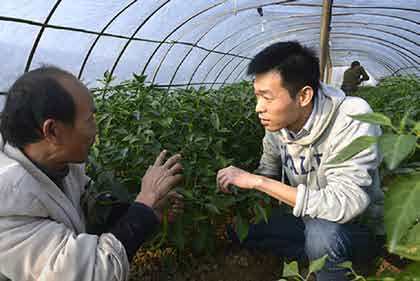 Qin Yuefei, un funcionario en el campo_Spanish.china.org.cn_中国最权威的西班牙语新闻网站