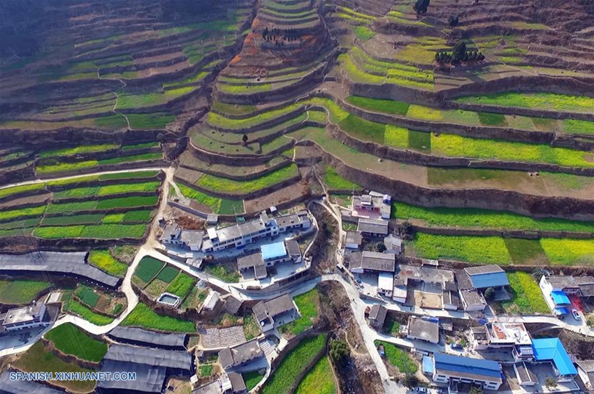 Gansu: Vista aérea de campos de coliflor cerca del banco de la Reserva ...