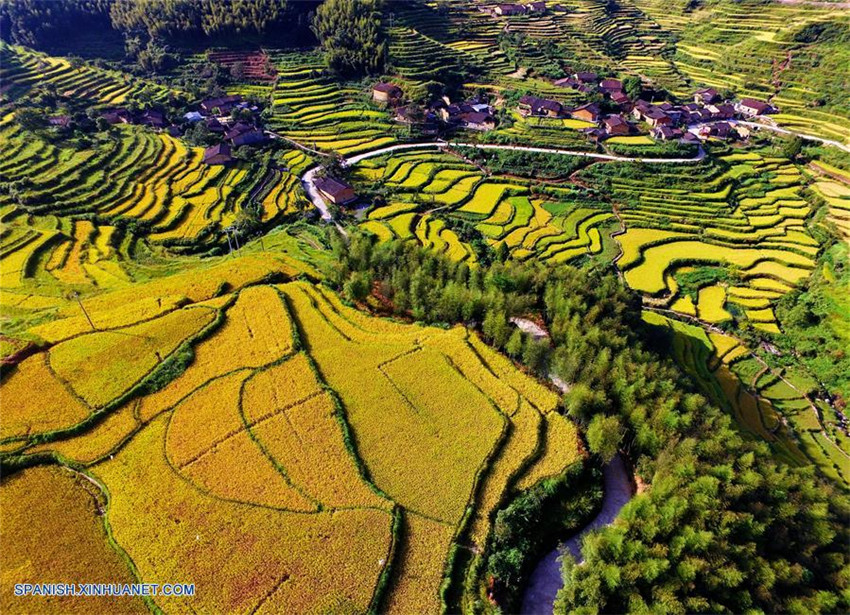 Fujian: Paisaje de campos de terrazas en Houyuan de Wuyishan_Spanish ...