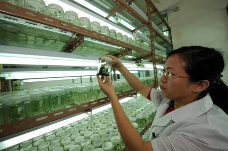 Features_china.org.cn