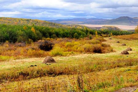 Daxinganling primitive forest in autumn - China.org.cn