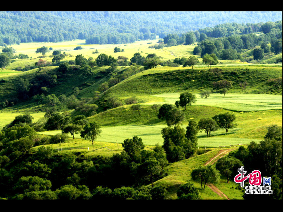 Bashan Grassland in early September - China.org.cn