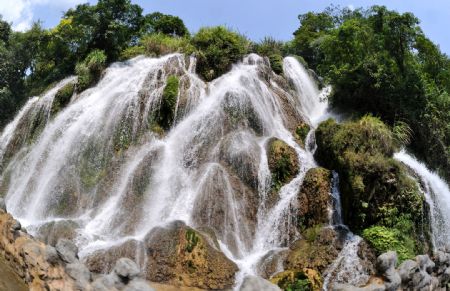 In harmony with trees - China.org.cn