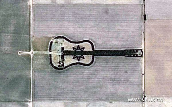 Guitar-shape forest in Argentina - China.org.cn