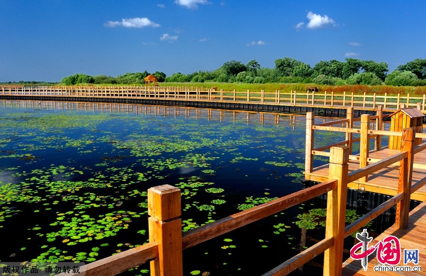 Amazing landscape of Heixiazi Island - China.org.cn