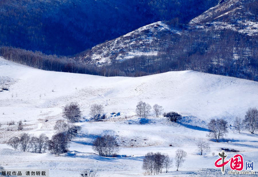 Picturesque scenery of Bashang in winter - China.org.cn