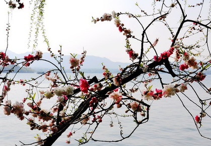 Spring is a fabulous time to go to Hangzhou - China.org.cn