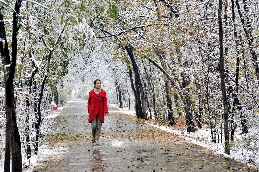 1st autumn snowfall hits Inner Mongolia- China.org.cn