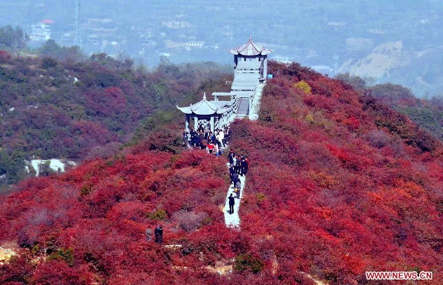 Tourists enjoy autumn red leaves in Changshou Mountain - China.org.cn
