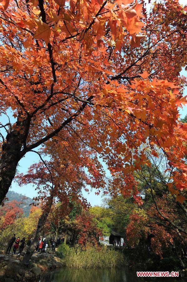 Colorful maple leaves at Tianping Mountain - China.org.cn