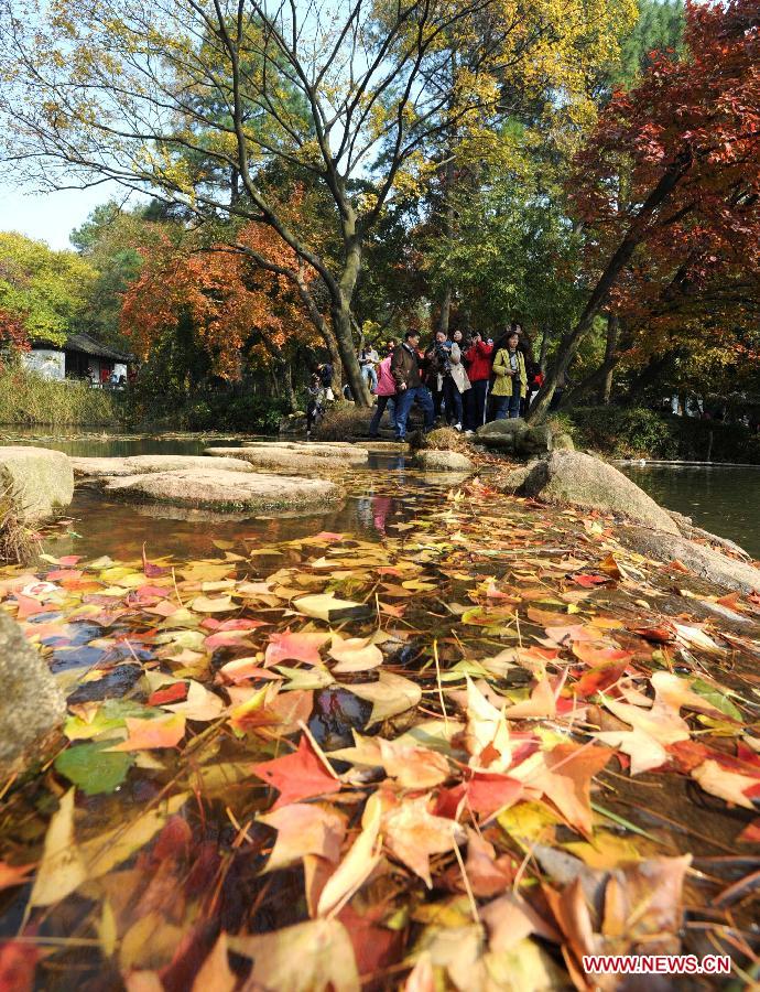 Colorful maple leaves at Tianping Mountain - China.org.cn