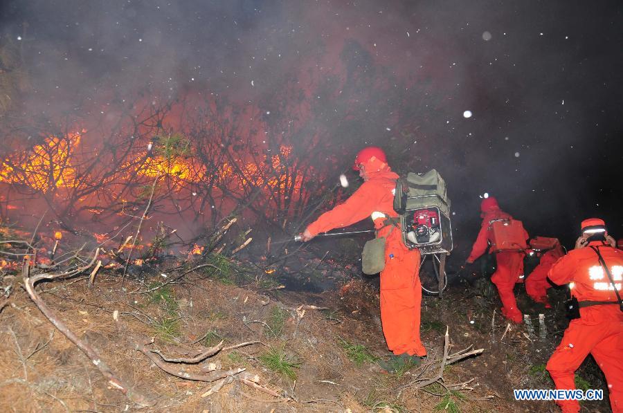 Forest fire breaks out in Anning, Yunnan - China.org.cn