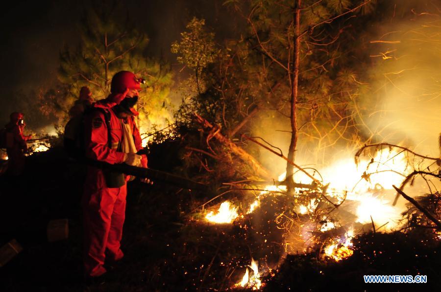 Forest fire breaks out in Anning, Yunnan - China.org.cn