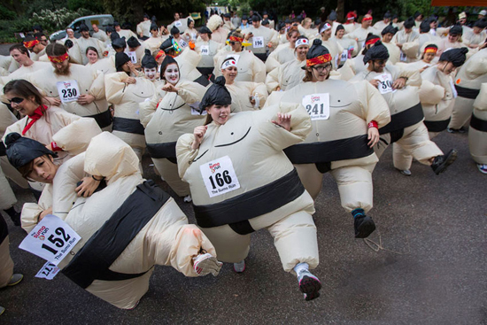 Running sumo style - China.org.cn