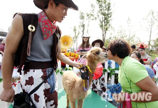 Alpaca highlights decorated vehicle parade - China.org.cn