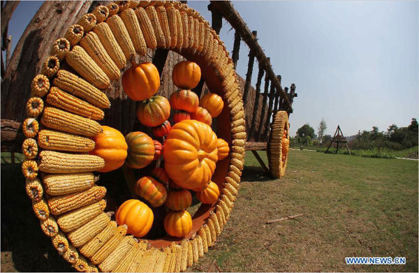 Pumpkin festival to be held in E. China- China.org.cn