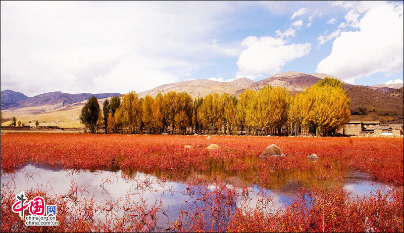 Breathtaking scenery of Yading - China.org.cn