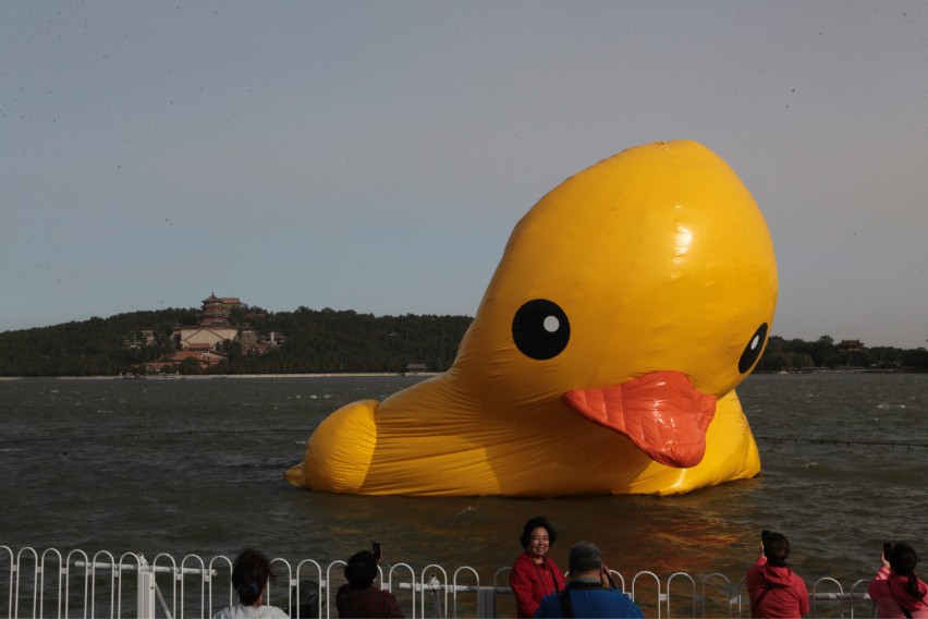 Yellow duck deflated in strong winds - China.org.cn