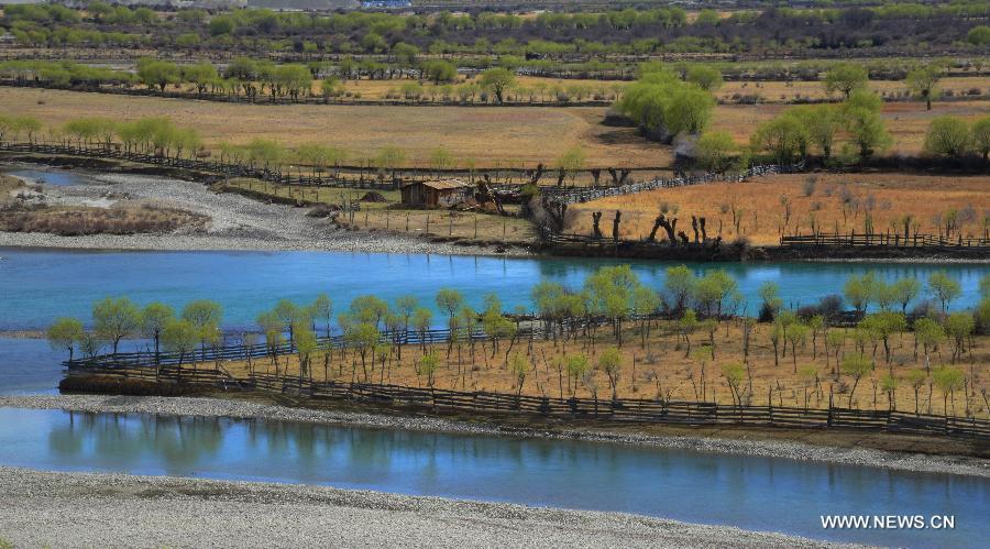 Scenery of Nyang River in Linzhi, China's Tibet - China.org.cn