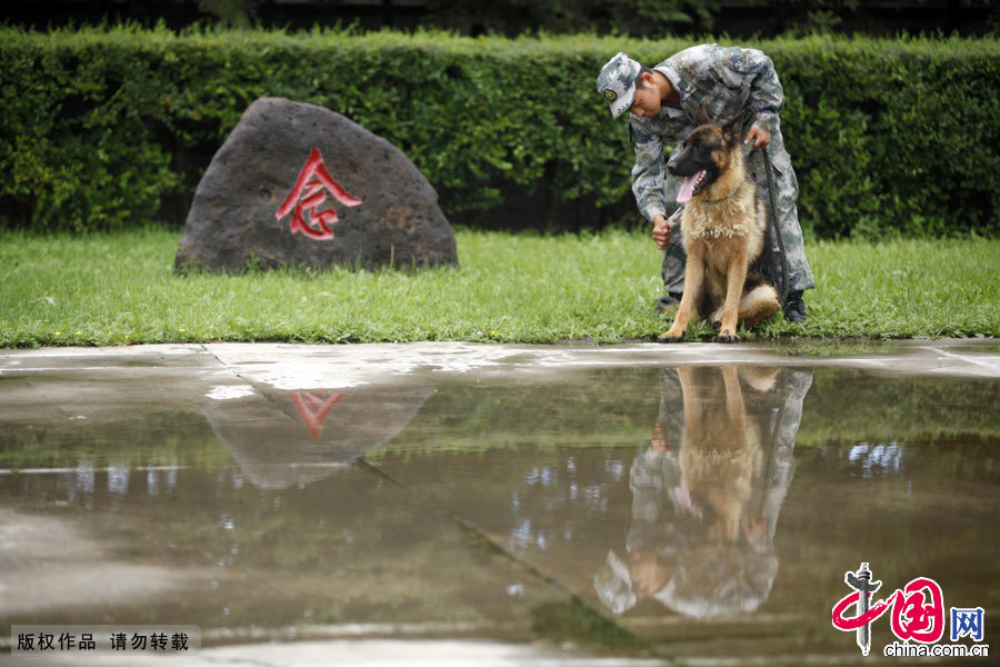 Chinese army dogs safeguard China-Russia border- China.org.cn