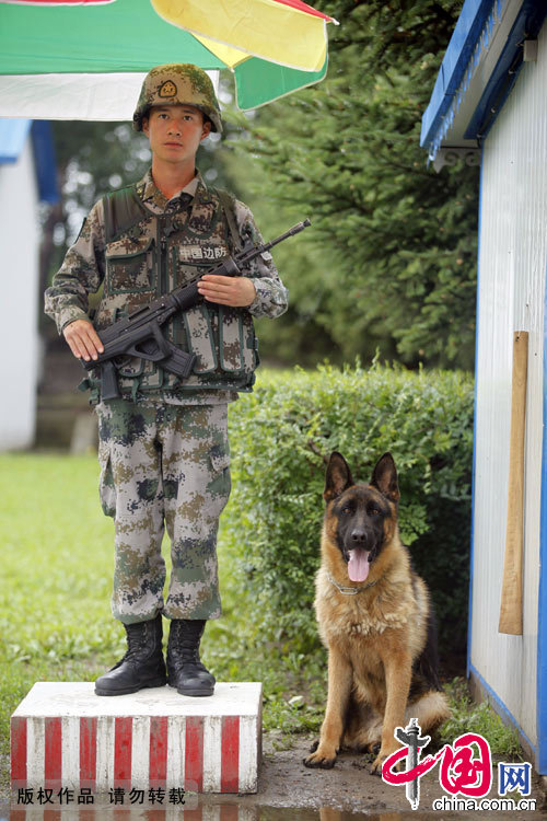 Chinese army dogs safeguard China-Russia border- China.org.cn