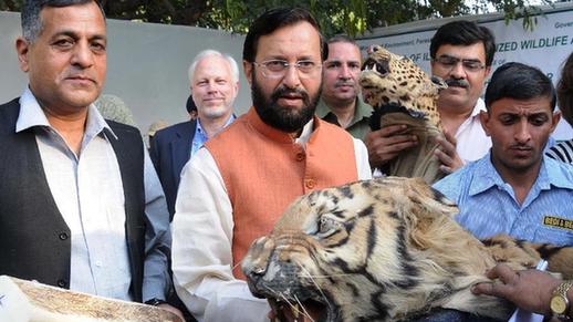 Indian gov't burns illegal animal parts to discourage wildlife ...