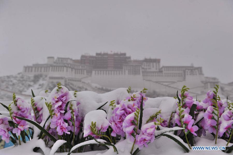 Snow-covered scenery in Lhasa - China.org.cn